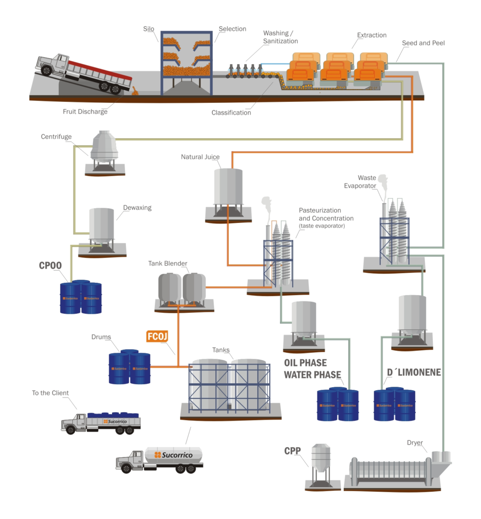 Nossa Produção Sucorrico - Industria de Sucos NFC e FCOJ